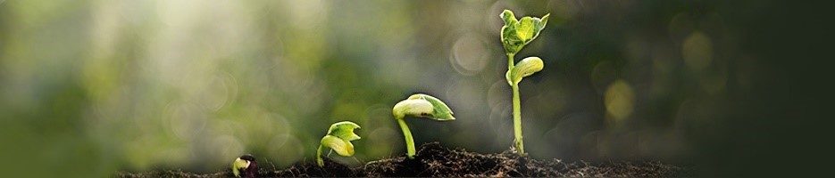 EPA’s Small Business Innovation Research (SBIR) Program | State of ...