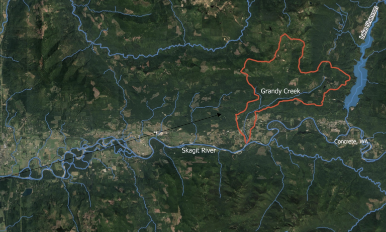 Skagit River Tributary Instream Flow Habitat Assessment | State of ...