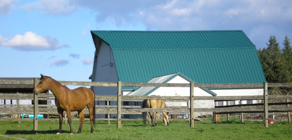 Manure | Soil Management | Washington State University