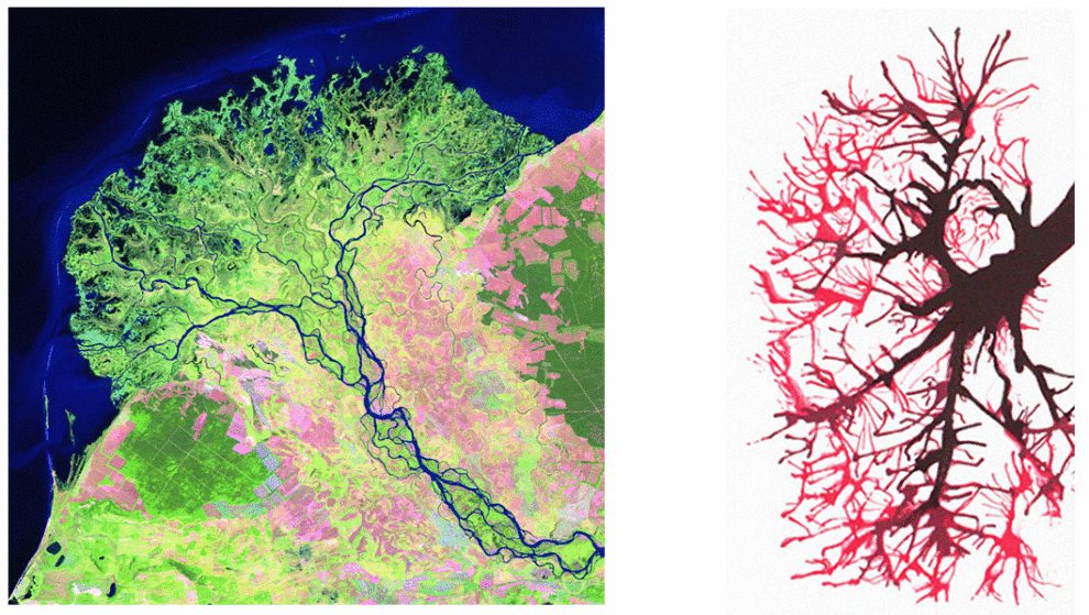 How universities evolved tree-like hierarchies | HYdrogen Properties ...