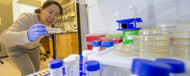 Office of Research | Research | Washington State University