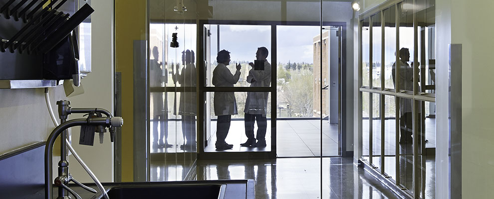 Centers, Initiatives and Programs | Research | Washington State University