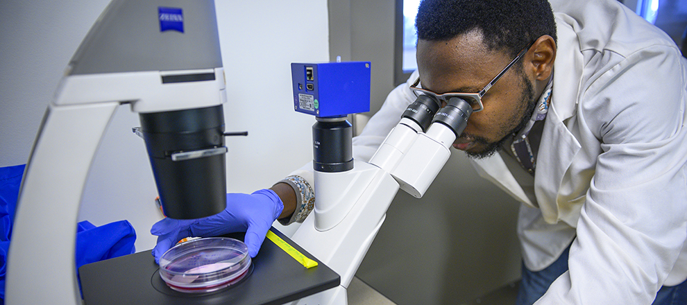 Lab Safety | Research | Washington State University