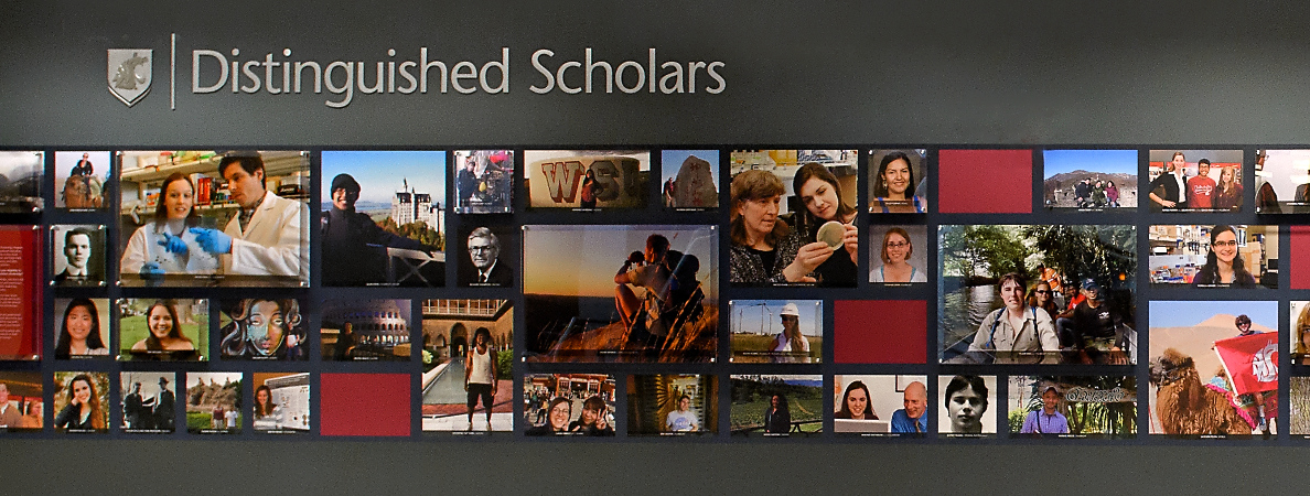 Distinguished Scholars Gallery | Distinguished Scholarships Program ...