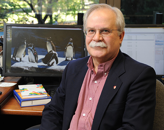 Animals R us – ‘Zoobiquity’ conference Nov. 1 | WSU Insider ...