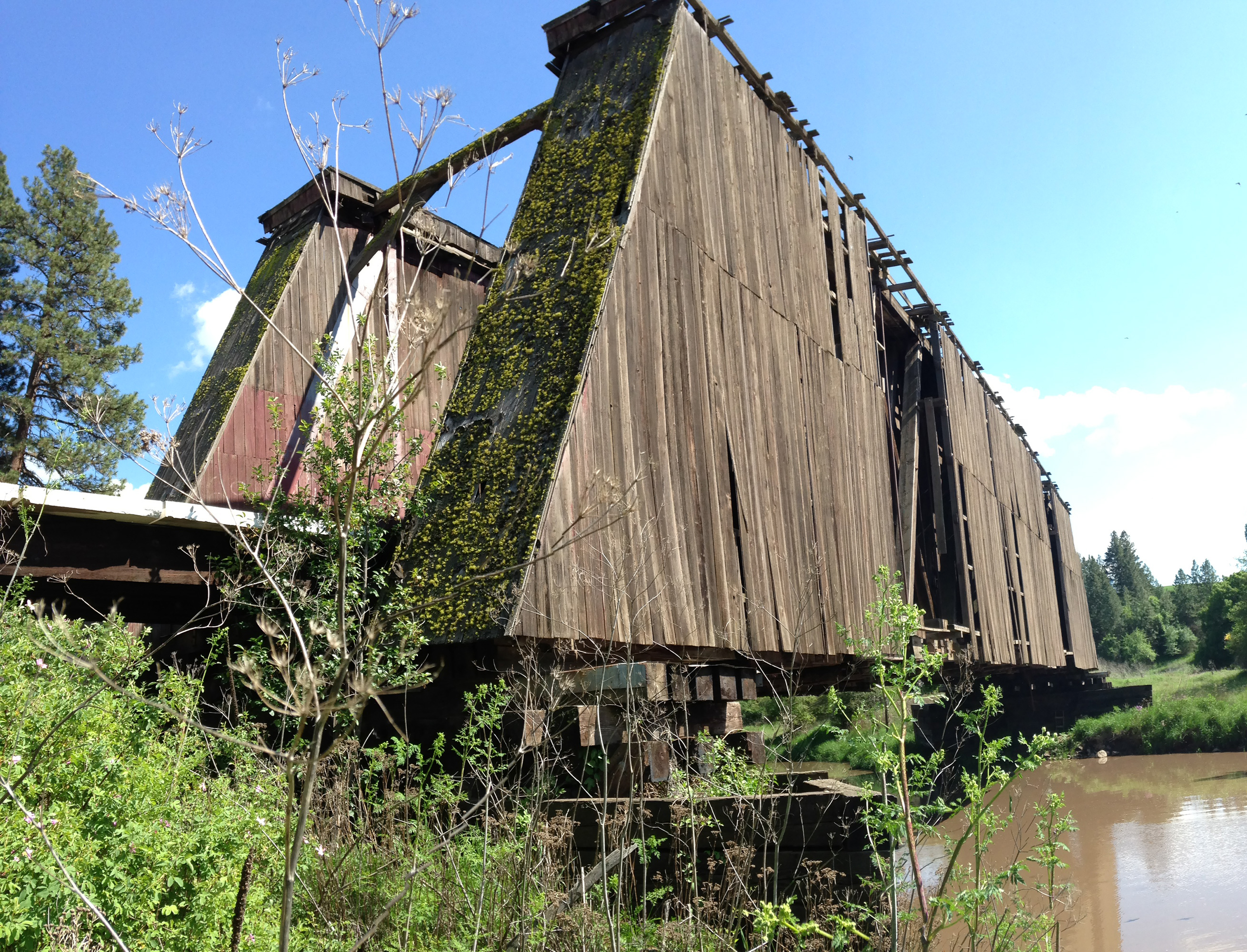 Harpole-bridge | WSU Insider | Washington State University