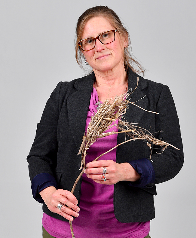 Creative Collaborations Connect Arts Sciences Community WSU Insider Washington State creative-collaborations-connect-arts-sciences-community-wsu-insider-washington-state