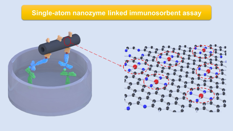 Nanozimi per la diagnosi precoce dell'Alzheimer - MediMagazine