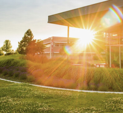 WSU Admissions | Washington State University | Washington State University