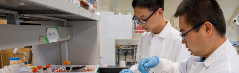 WSU Academics | Washington State University | Washington State University