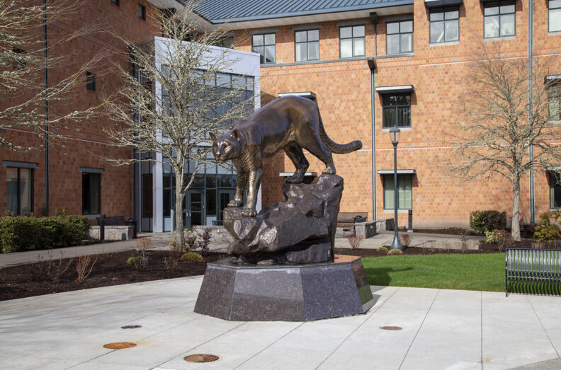 Washington State University | Washington State University