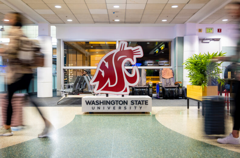 Washington State University | Washington State University