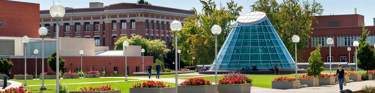 President’s Excellence Fund | WSU Foundation | Washington State University