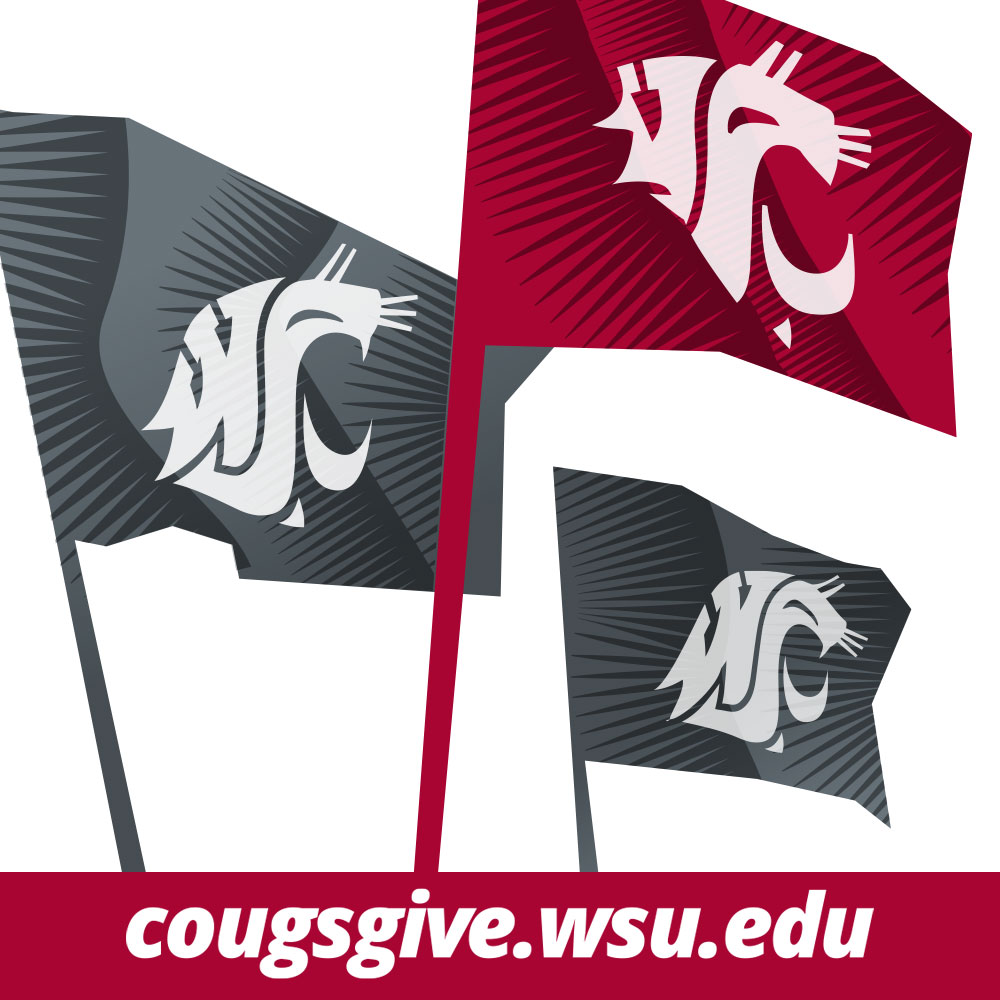 CougsGive Cougar Ambassador Toolkit | WSU Foundation | Washington State ...