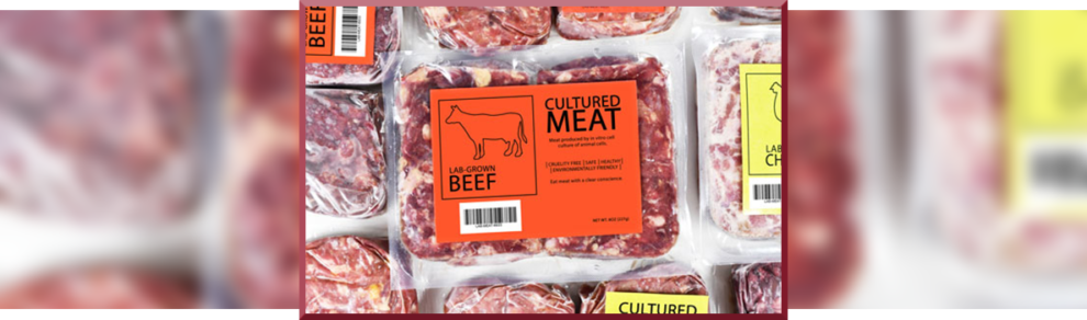 Doctoral Student Researches How Product Labeling, Advertising ...