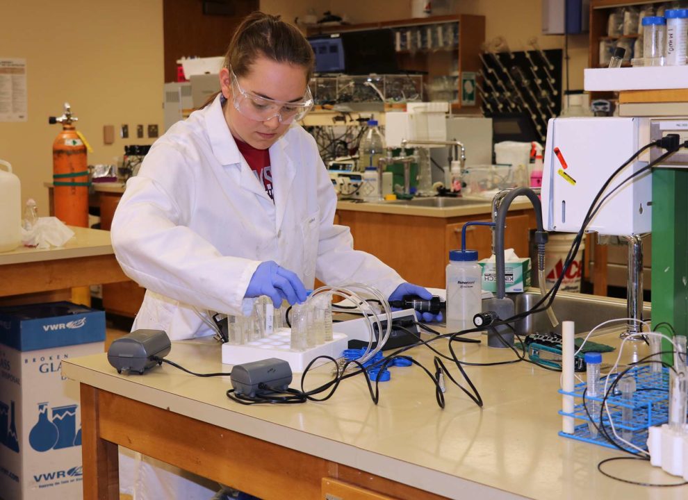 Biofilm Engineering | Gene and Linda Voiland School of Chemical ...