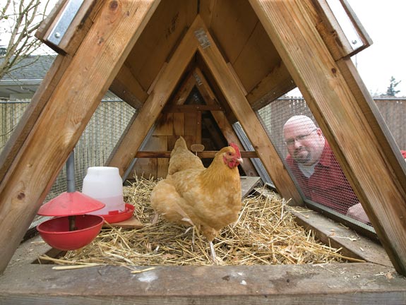 Harley Cowan—Chicken sedan | Washington State Magazine | Washington ...