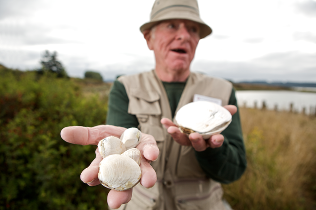 Clams | Washington State Magazine | Washington State University