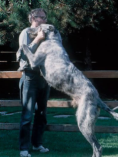 Grover Krantz (1931–2002) and Clyde | Washington State Magazine ...