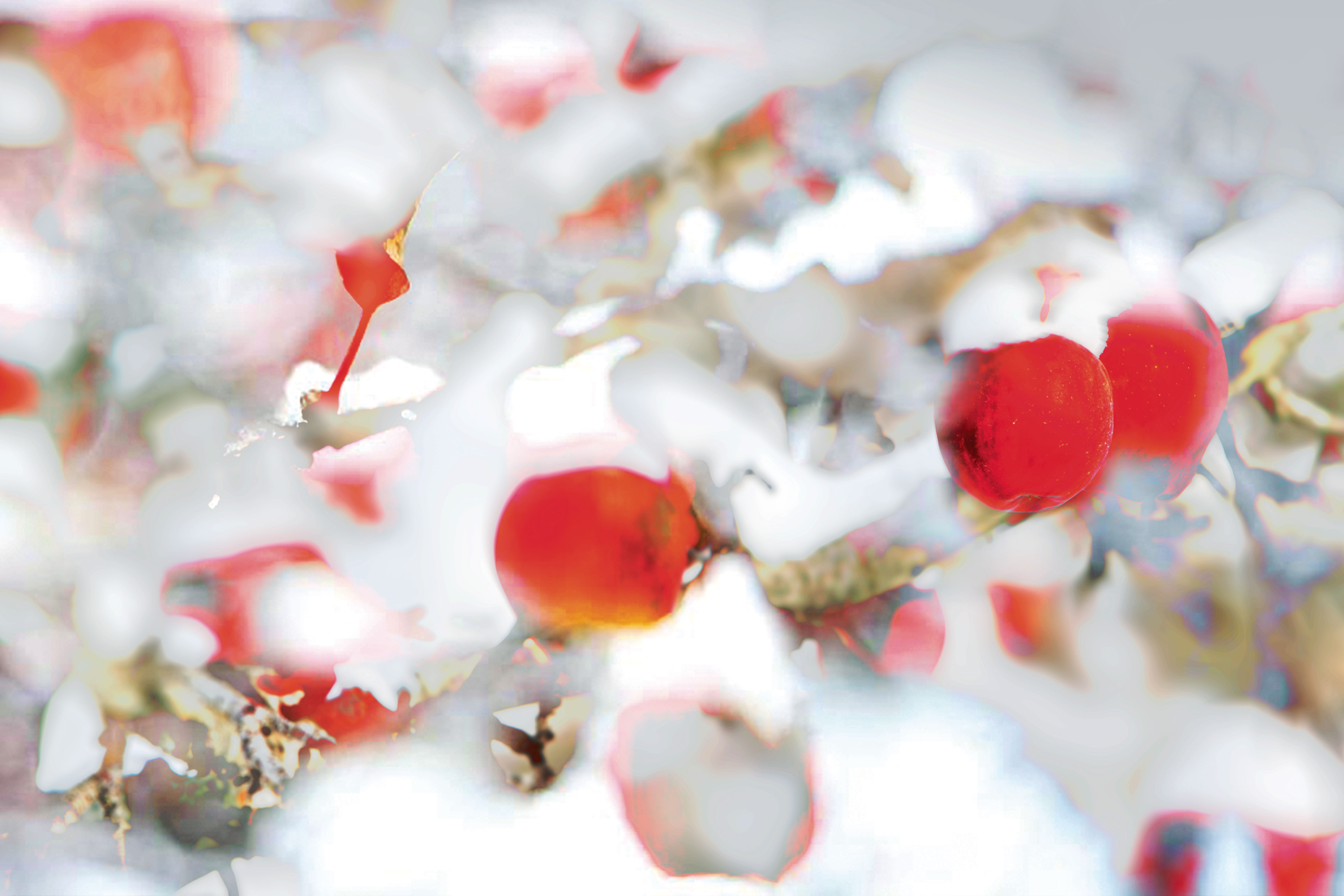 Winter 2015 | Washington State Magazine | Washington State University