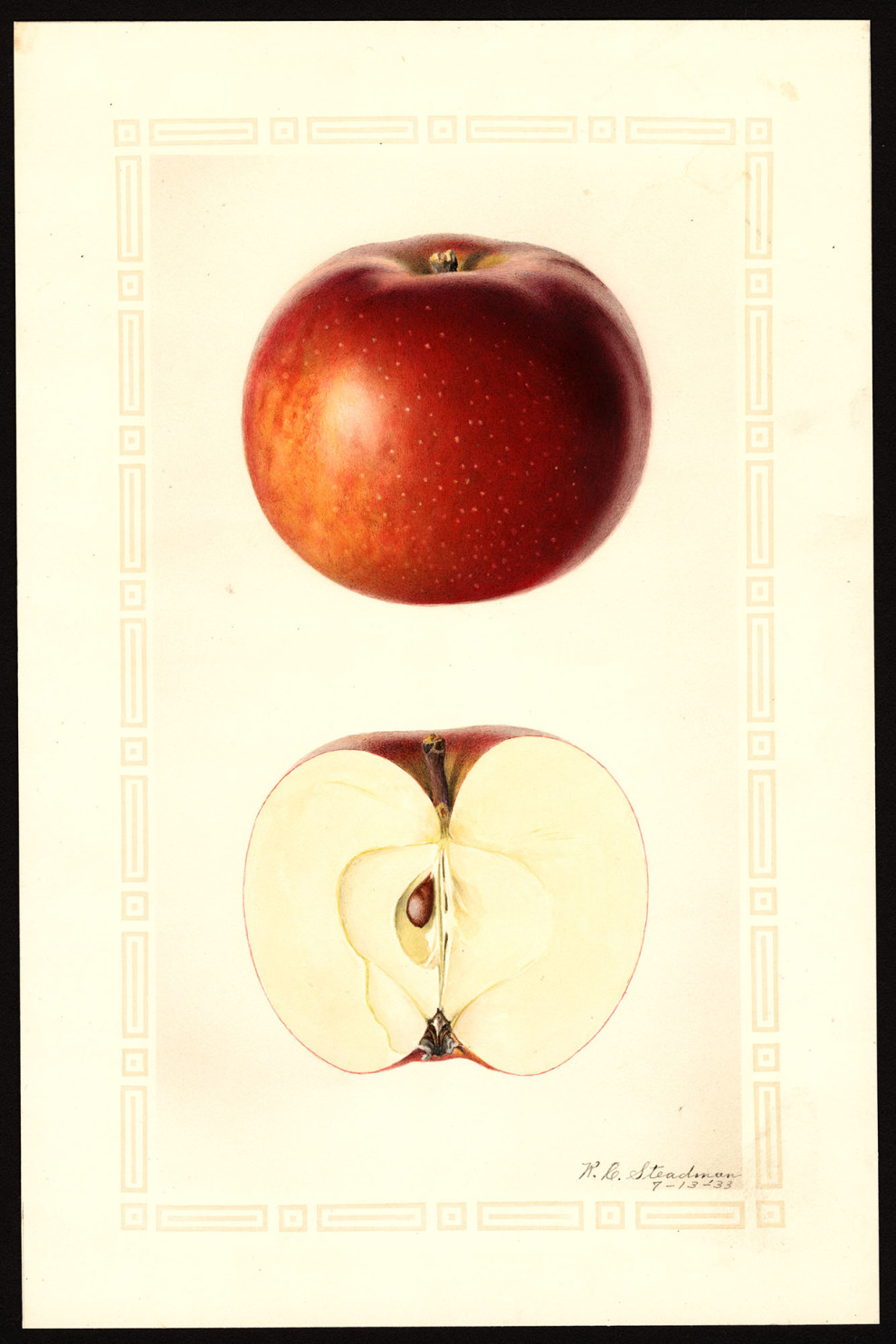 Gallery: Old-time Apple Varieties in the Northwest | Washington State ...