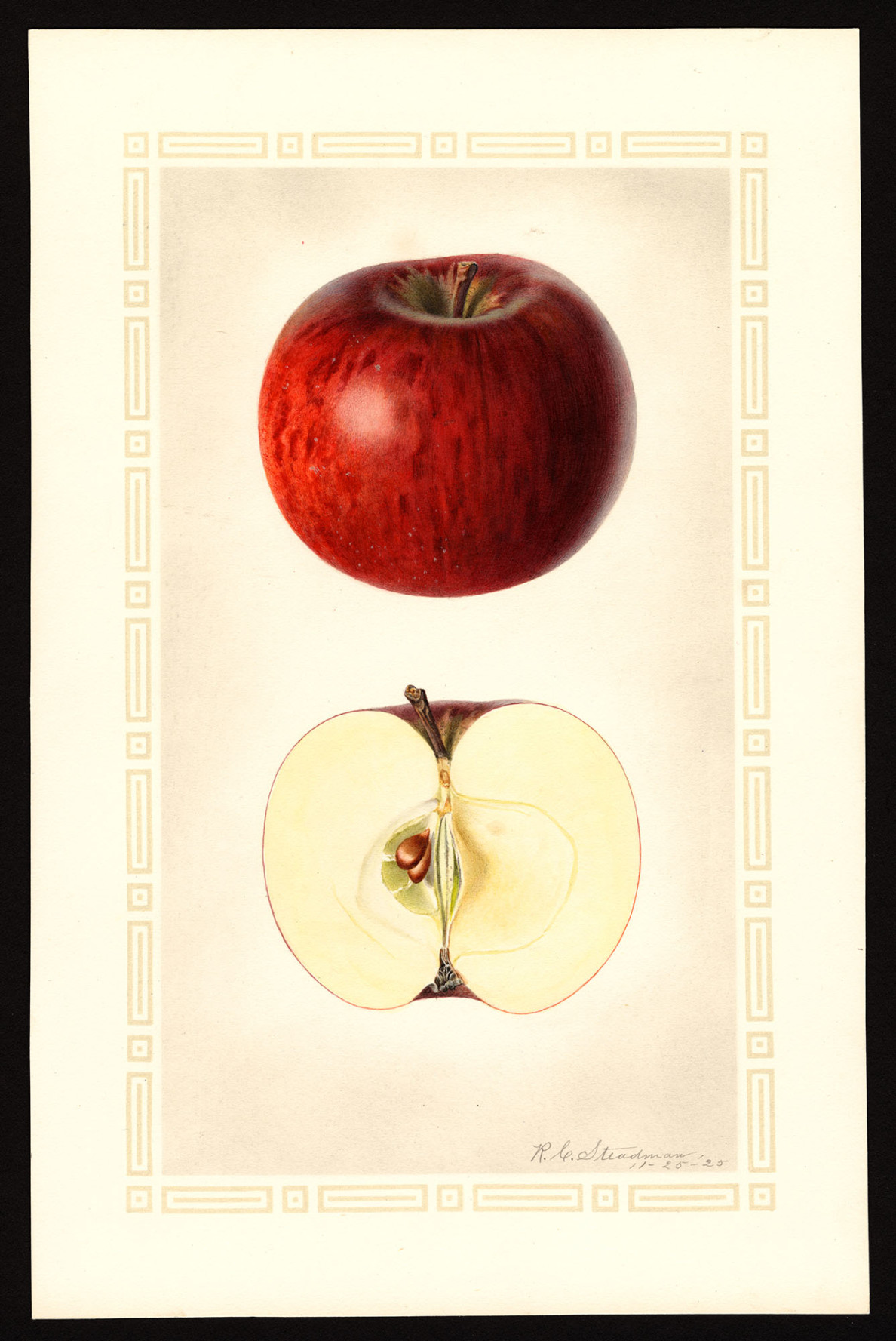 Gallery: Old-time Apple Varieties in the Northwest | Washington State ...