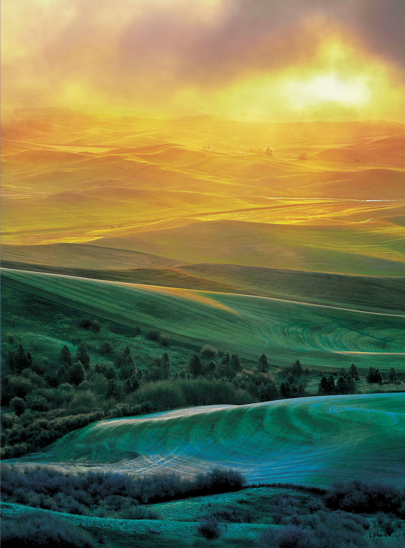 Spring 2016 | Washington State Magazine | Washington State University