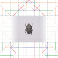 Gallery: High-tech origami | Washington State Magazine | Washington ...