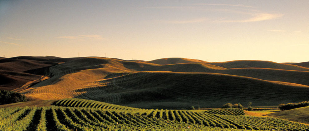 Mountains and rivers and prairies without end | Washington State ...