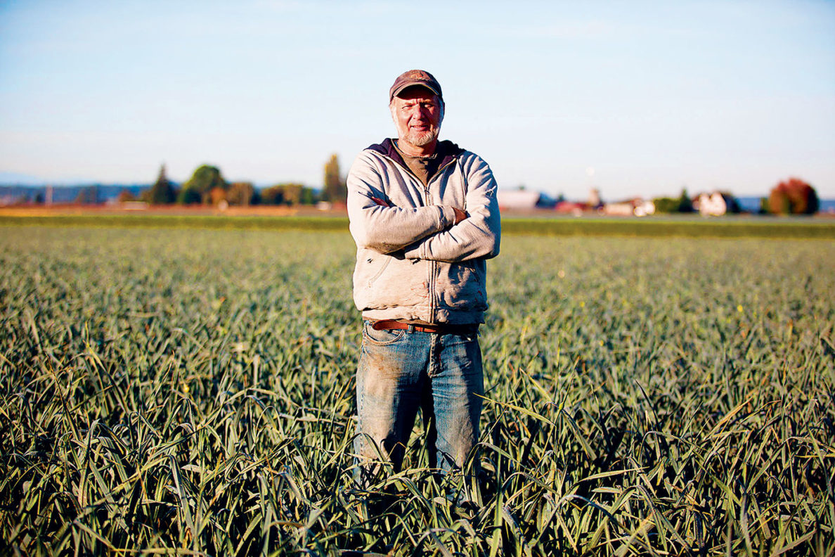 Leeks | Washington State Magazine | Washington State University