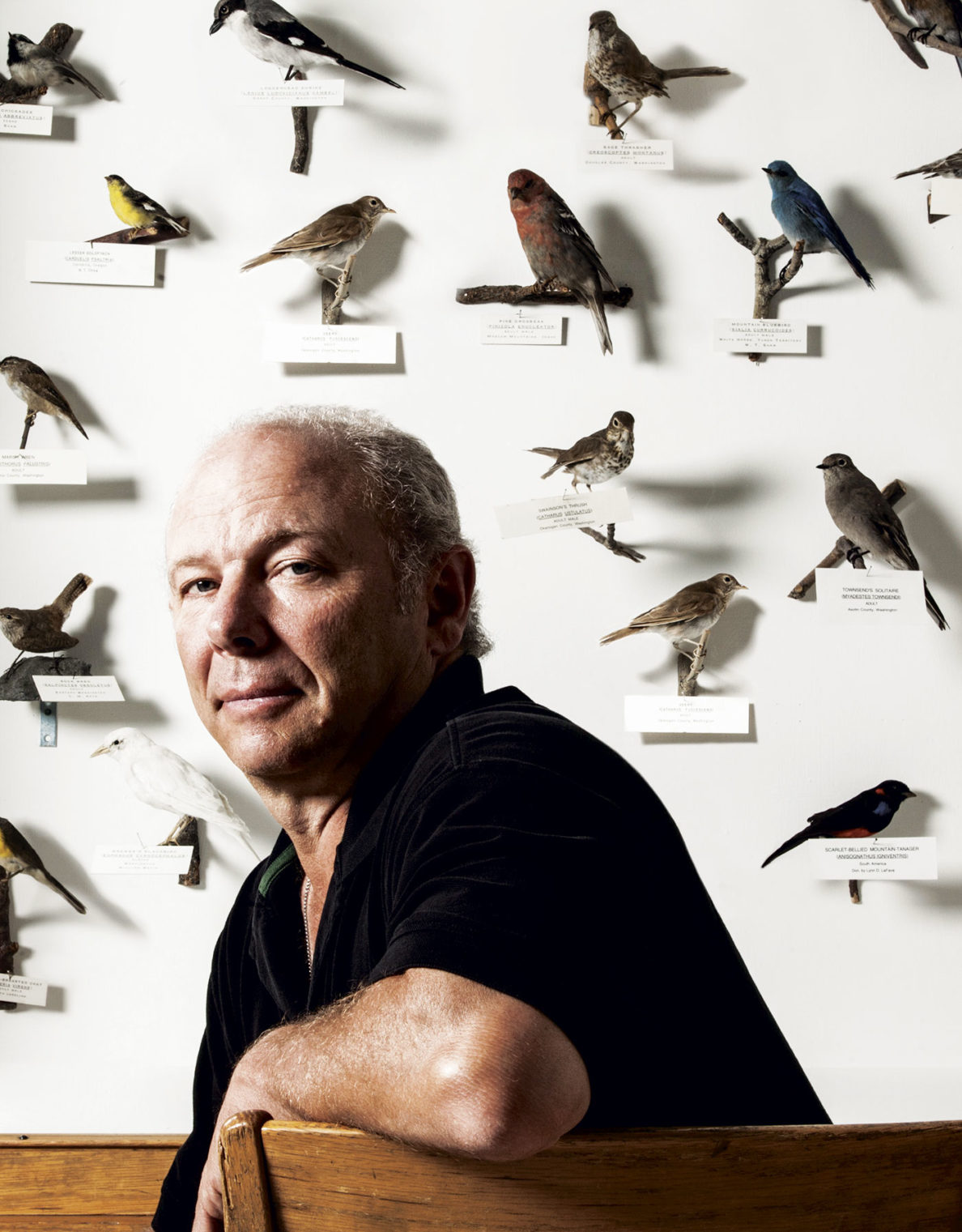 Evolution evolution | Washington State Magazine | Washington State ...