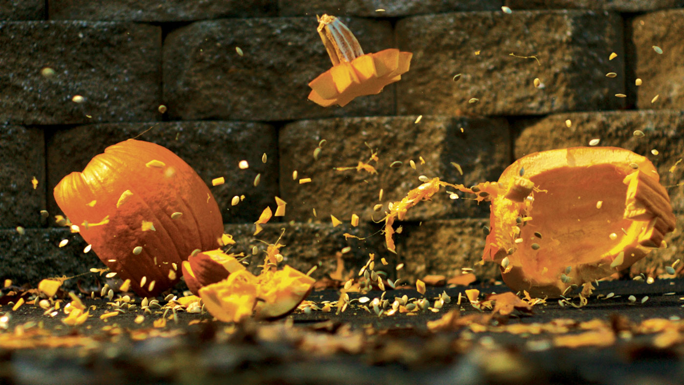 The physics of fall | Washington State Magazine | Washington State ...