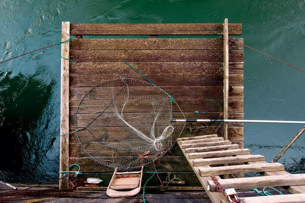 A river rolls on | Washington State Magazine | Washington State University