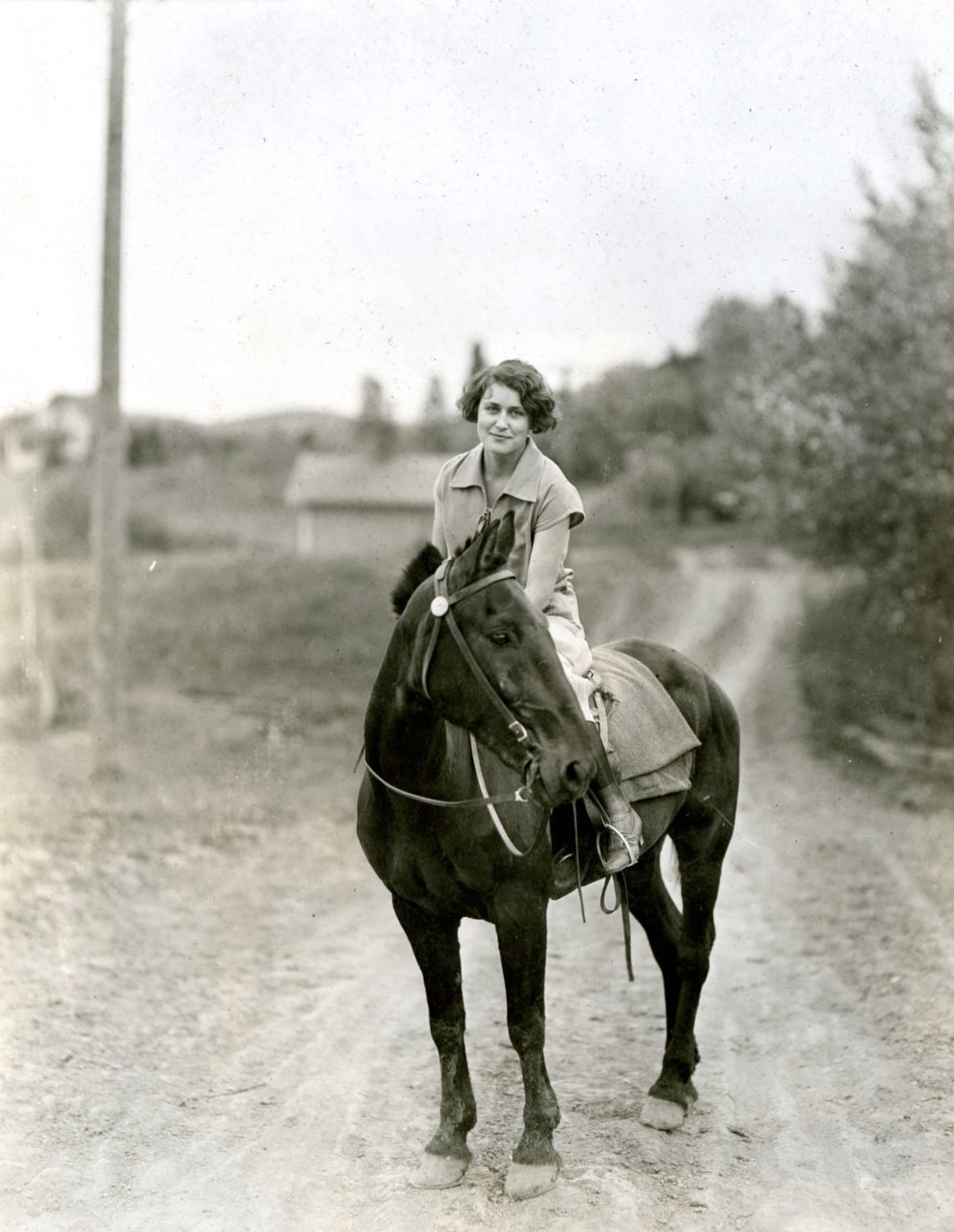 Gallery: WSU horses through the years | Washington State Magazine | Washington State University