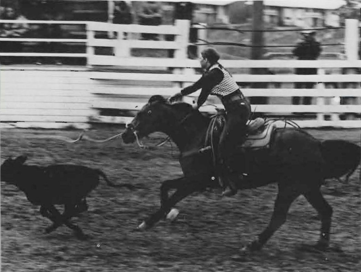 Gallery: WSU horses through the years | Washington State Magazine | Washington State University