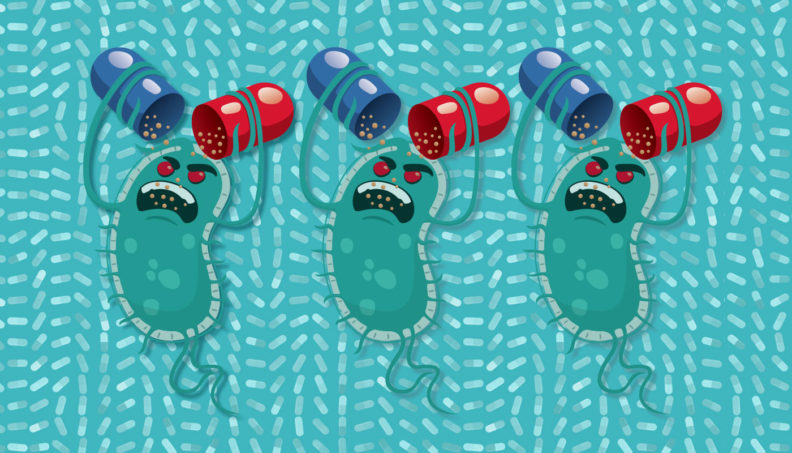 Superbugs | Washington State Magazine | Washington State University