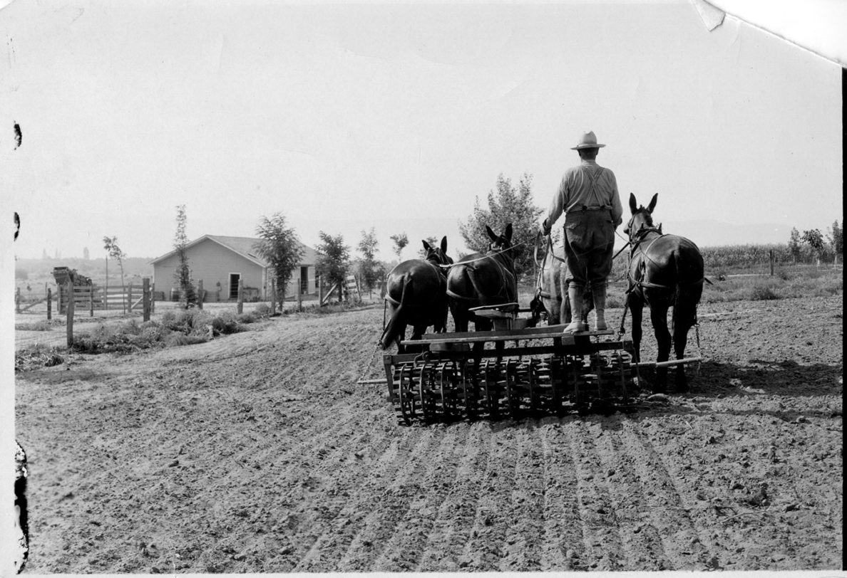 Prosser stories | Washington State Magazine | Washington State University