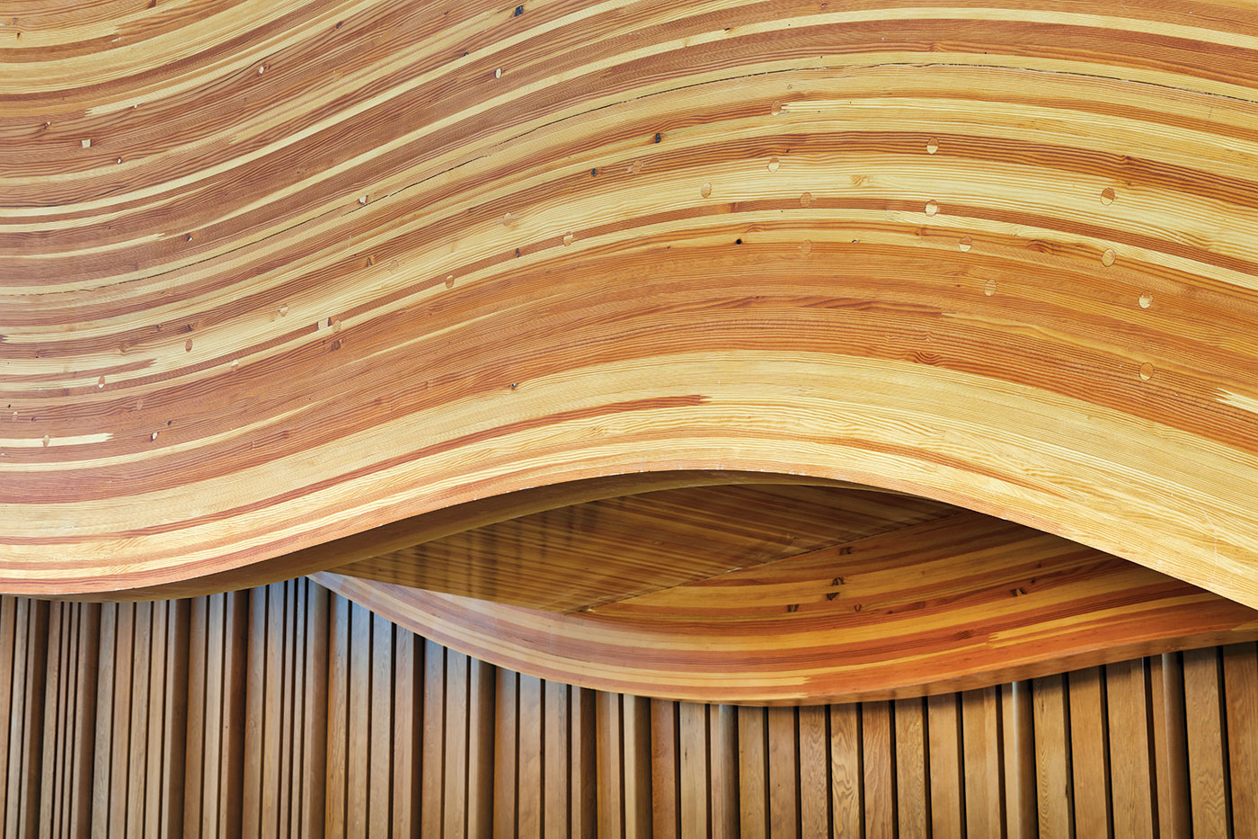 POWER timber | Washington State Magazine | Washington State University