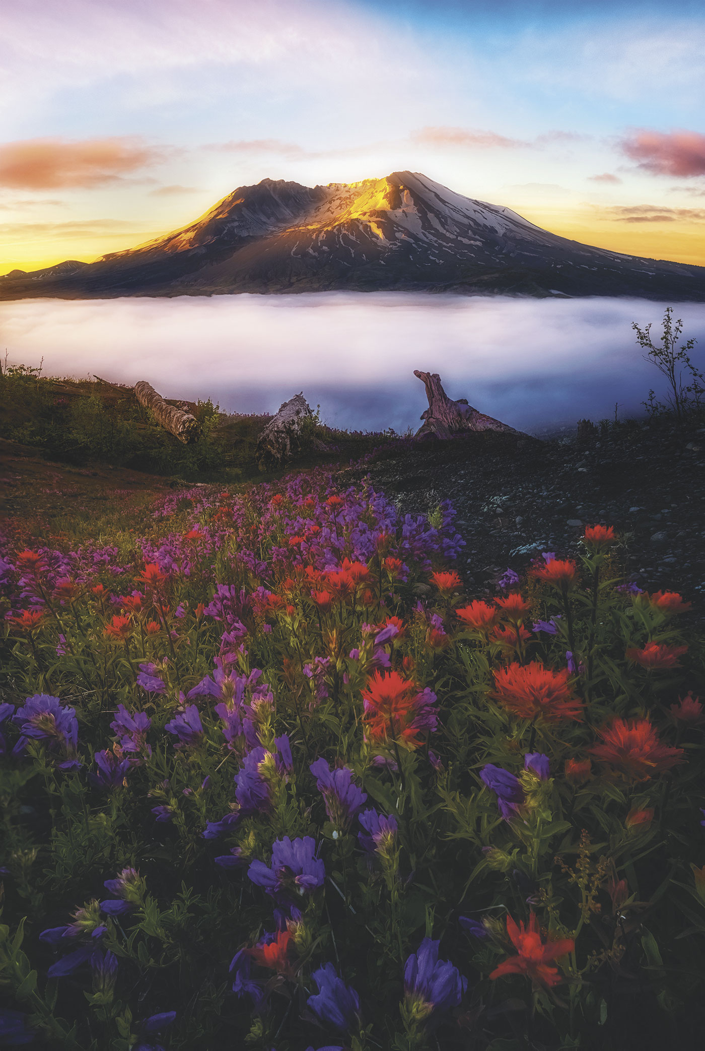 In our new backyard | Washington State Magazine | Washington State ...