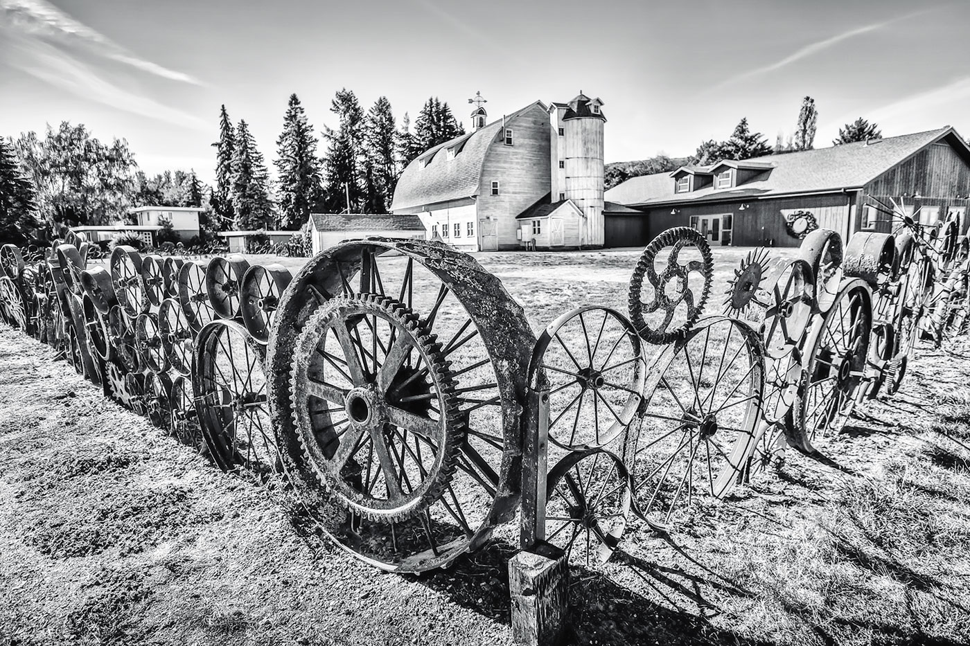 Collecting | Washington State Magazine | Washington State University