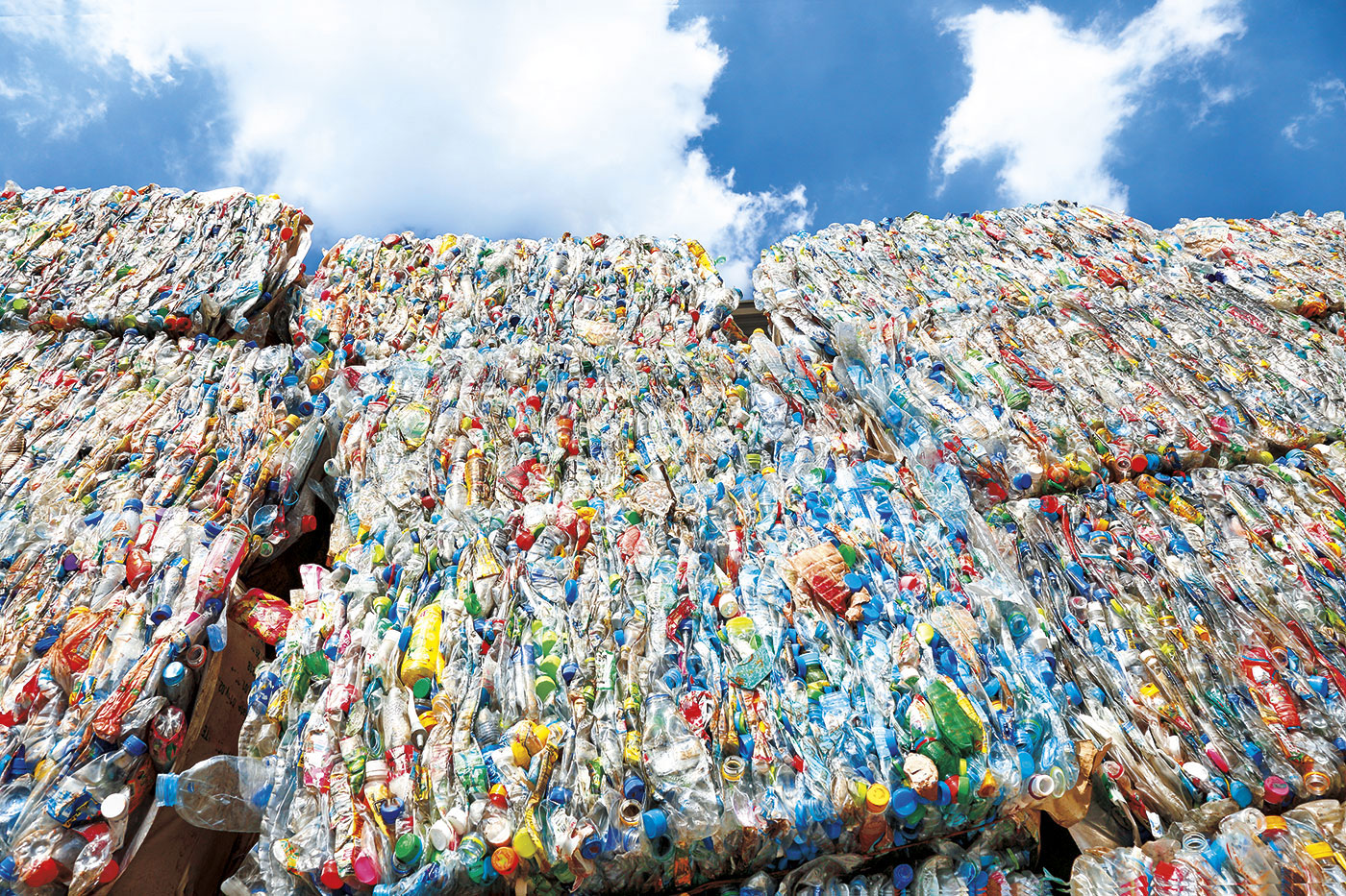Plastic | Washington State Magazine | Washington State University