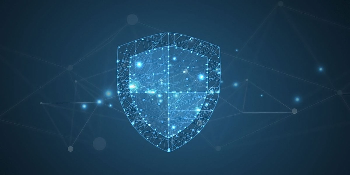 To shield and protect | Washington State Magazine | Washington State ...