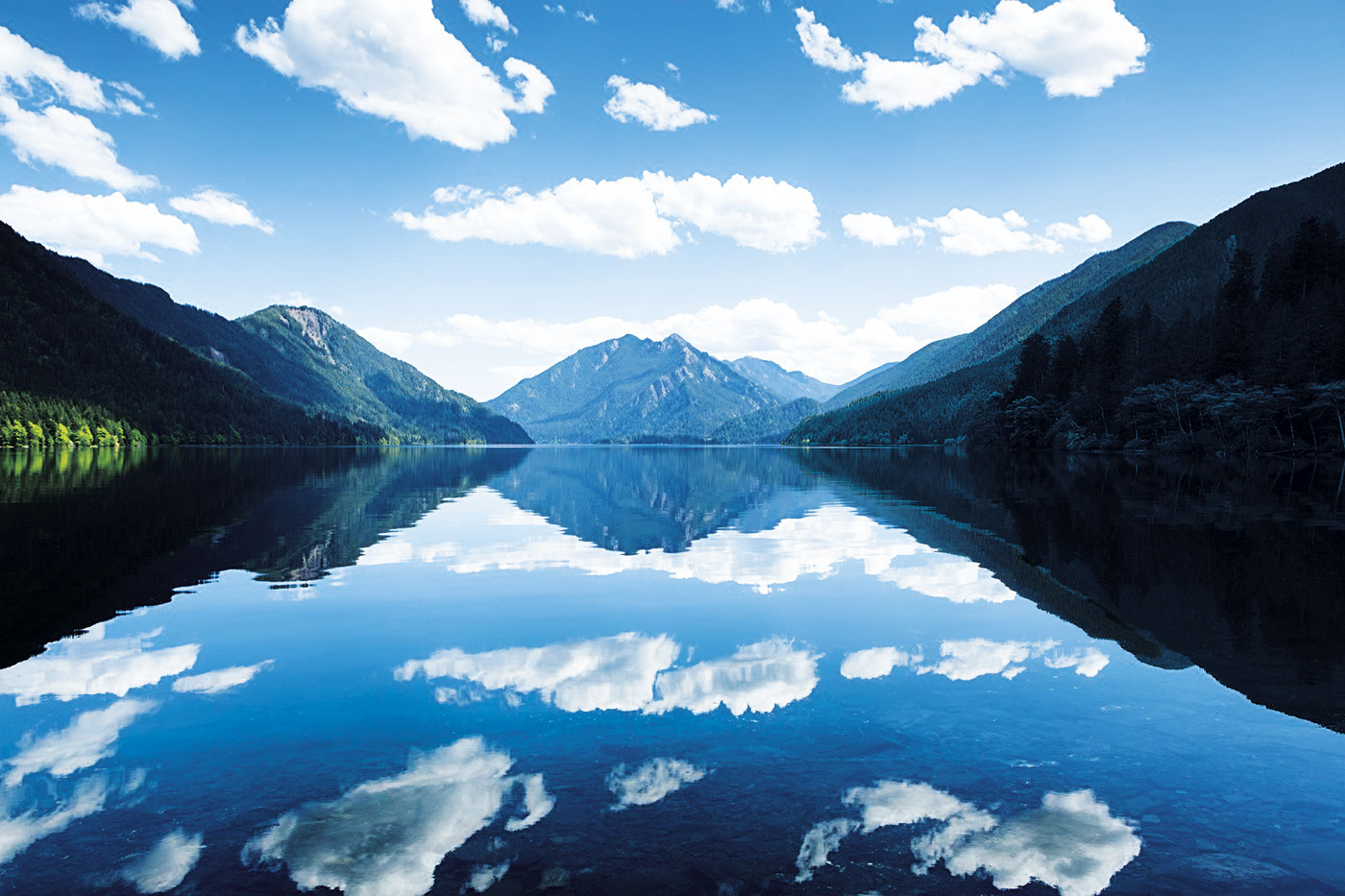 Digital magazine | Washington State Magazine | Washington State University