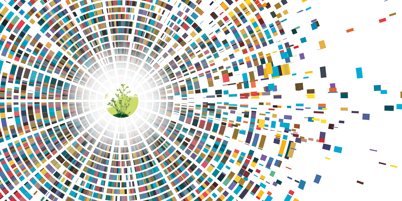 Just a small thing making a big difference | Washington State Magazine ...