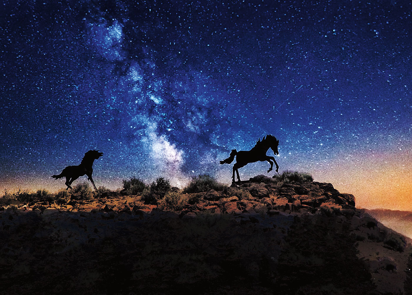 Vantage points | Washington State Magazine | Washington State University