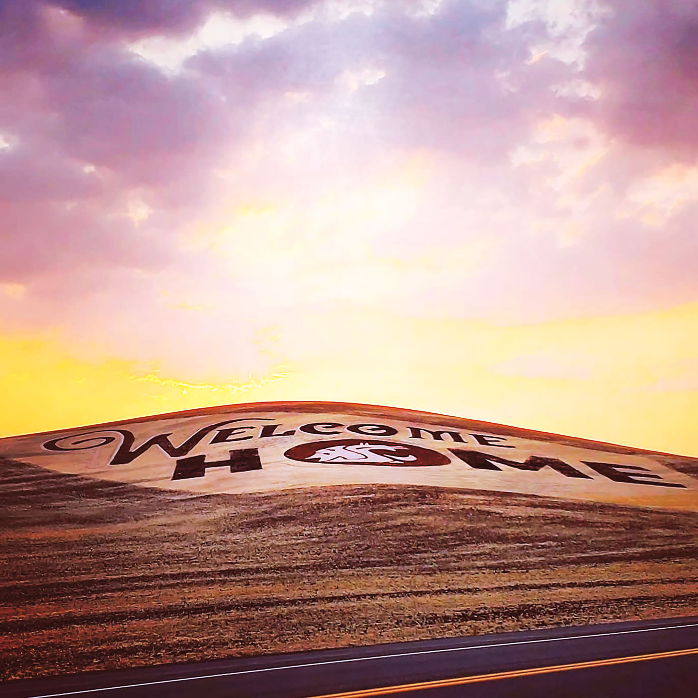 Digital magazine | Washington State Magazine | Washington State University