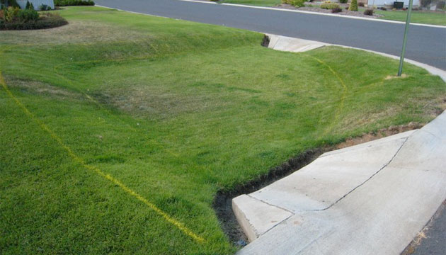 Gallery: Swales | Washington State Magazine | Washington State University