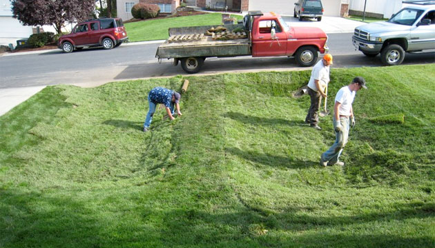 Gallery: Swales | Washington State Magazine | Washington State University