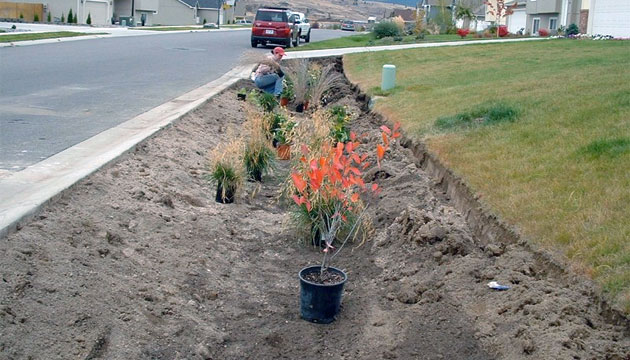 Gallery: Swales | Washington State Magazine | Washington State University