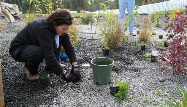 Gallery: Swales | Washington State Magazine | Washington State University